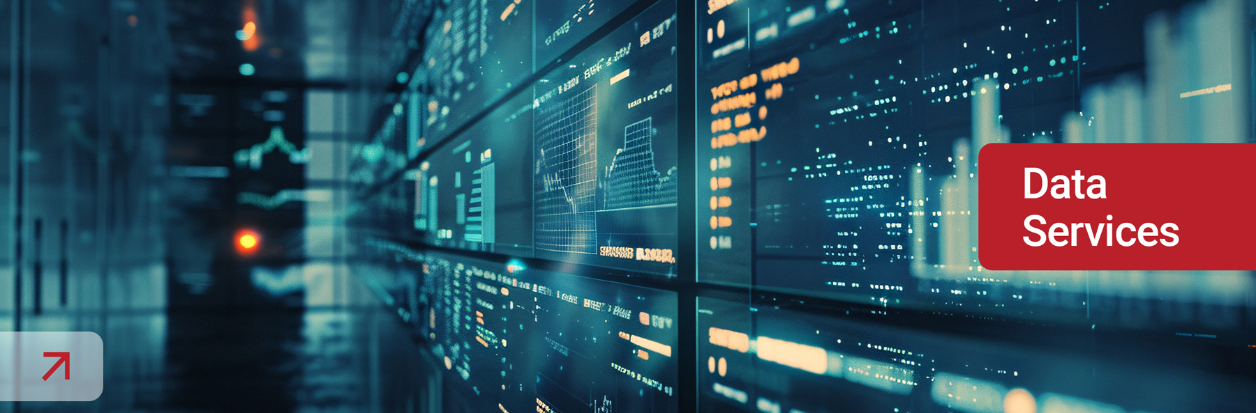 Data Services - Strategic Systems International