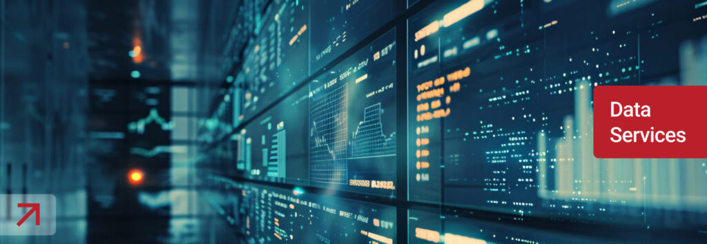 Data Services - Strategic Systems International