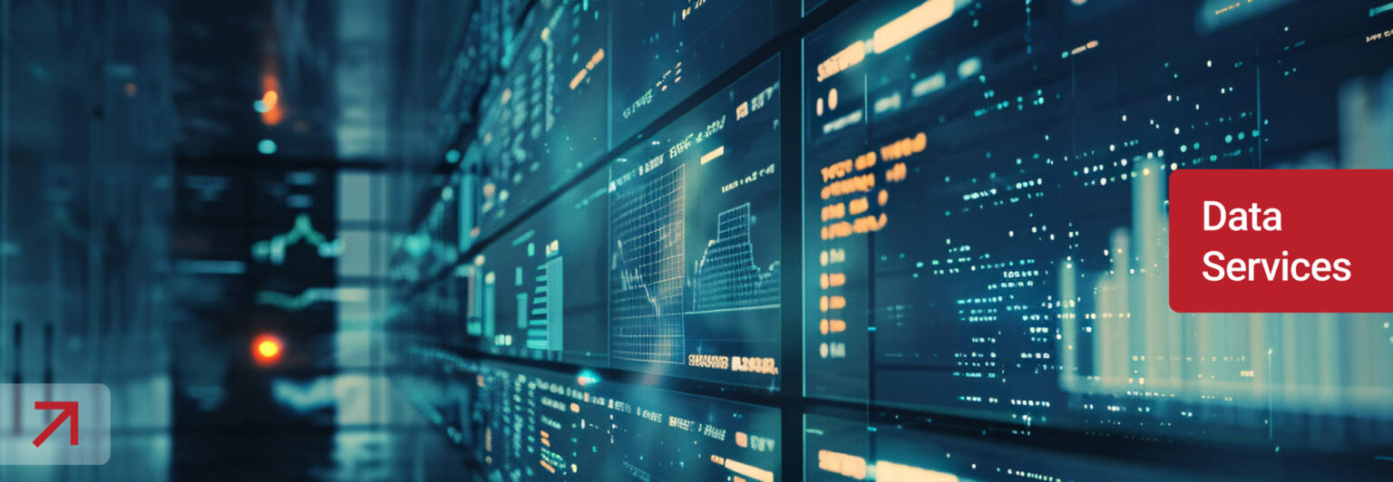 Data Services - Strategic Systems International
